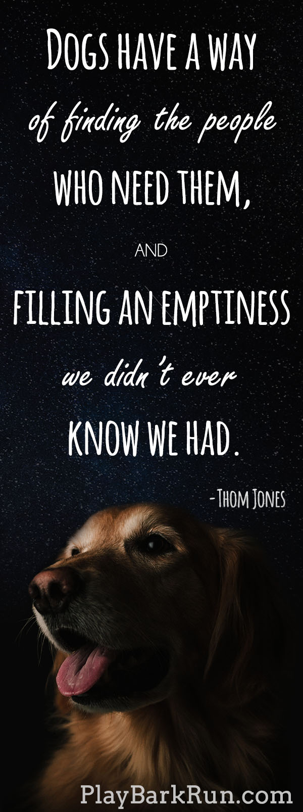 29 Inspirational Dog Quotes About Life And Love PlayBarkRun 29 Inspirational Dog Quotes About Life And Love PlayBarkRun