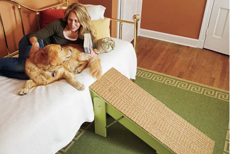 20 DIY Dog Ramps & Steps (For Bed and Stairs) - PlayBarkRun