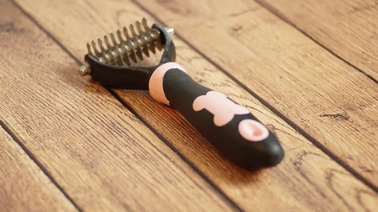 Hand Stripping Dogs - Expert Groomer Explains Everything - PlayBarkRun